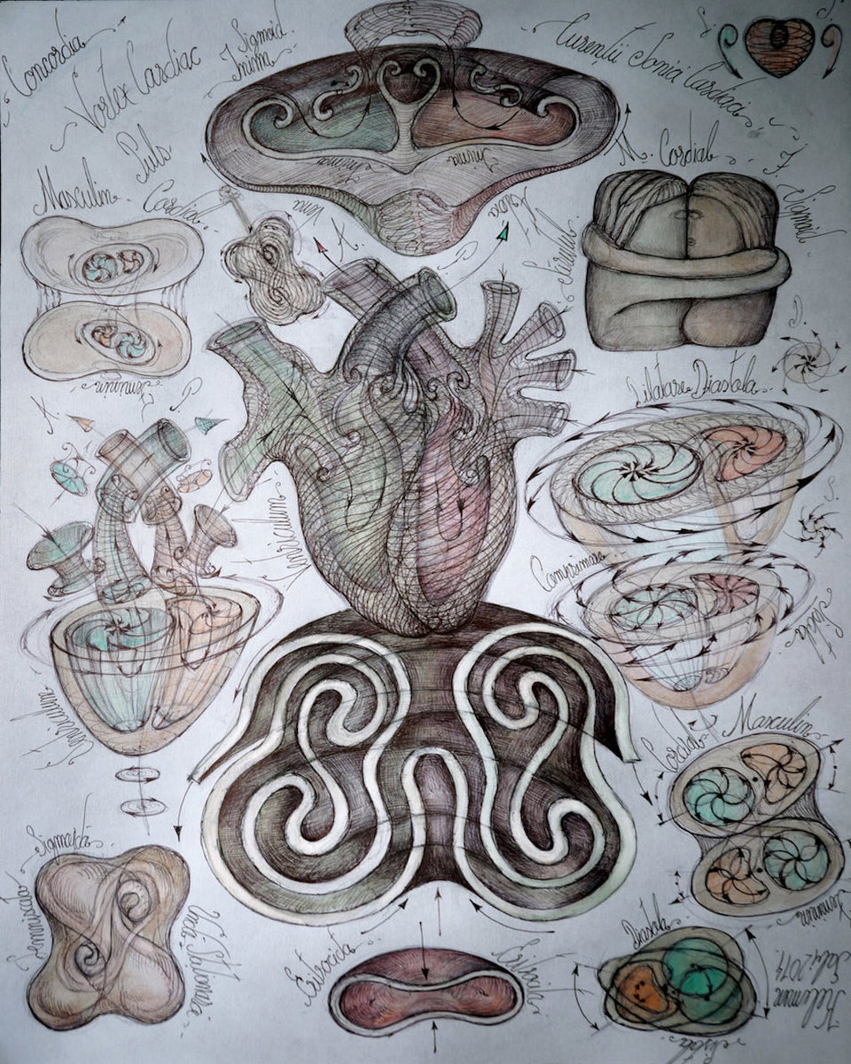 The Heart is Not Just a Pump - A Perspective – Nimbin Apothecary