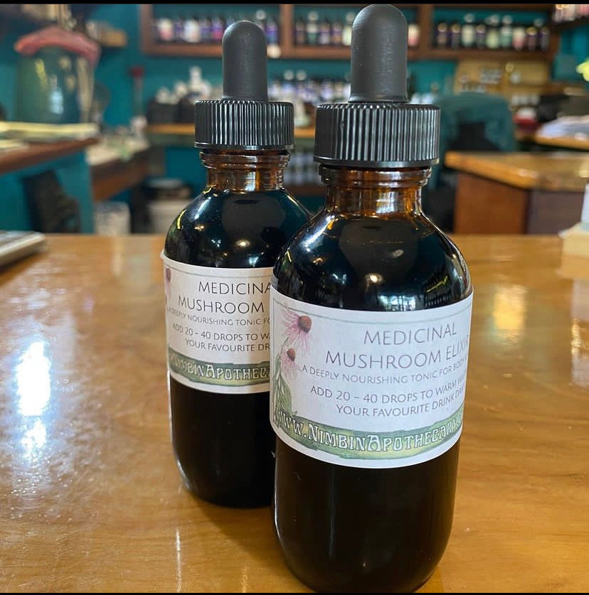 Mushroom Elixir - 100ml – Nimbin Apothecary